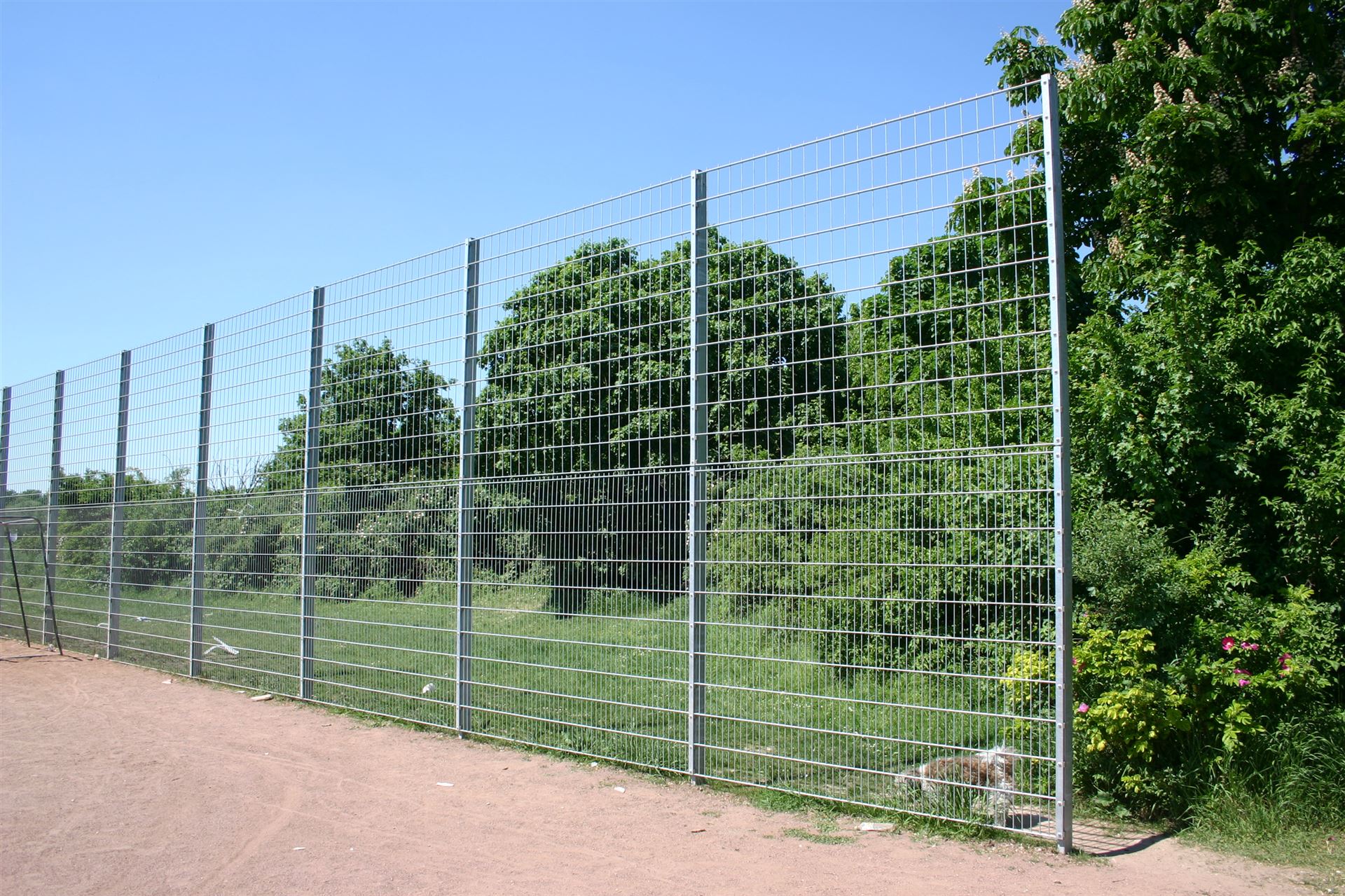 Gitterzaun